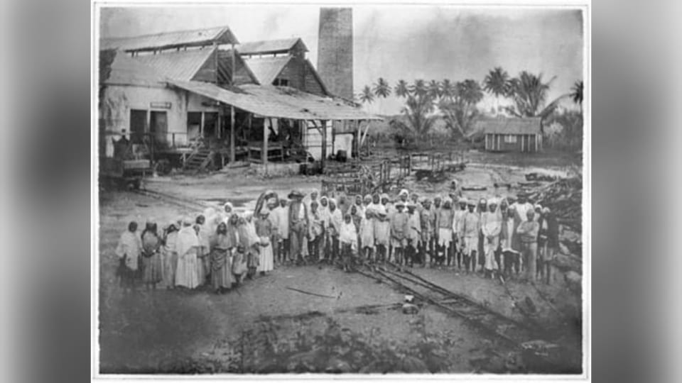 The Fiji Times » Fiji’s girmit history – The enigma of its exclusion ...