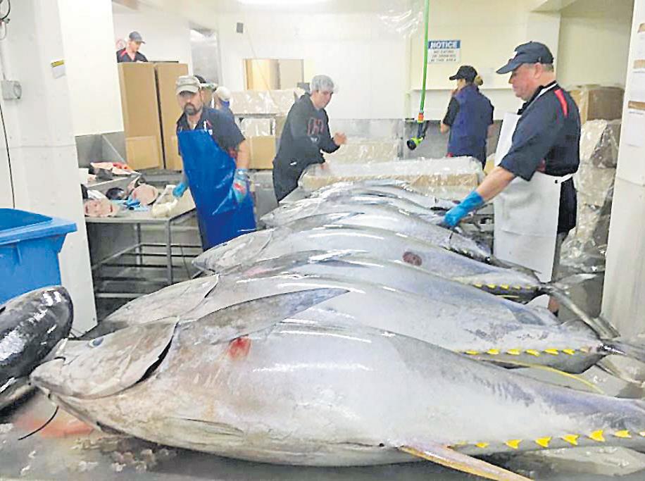 Usfijitimes | Vunivalu installation coinsides with King’s coronation