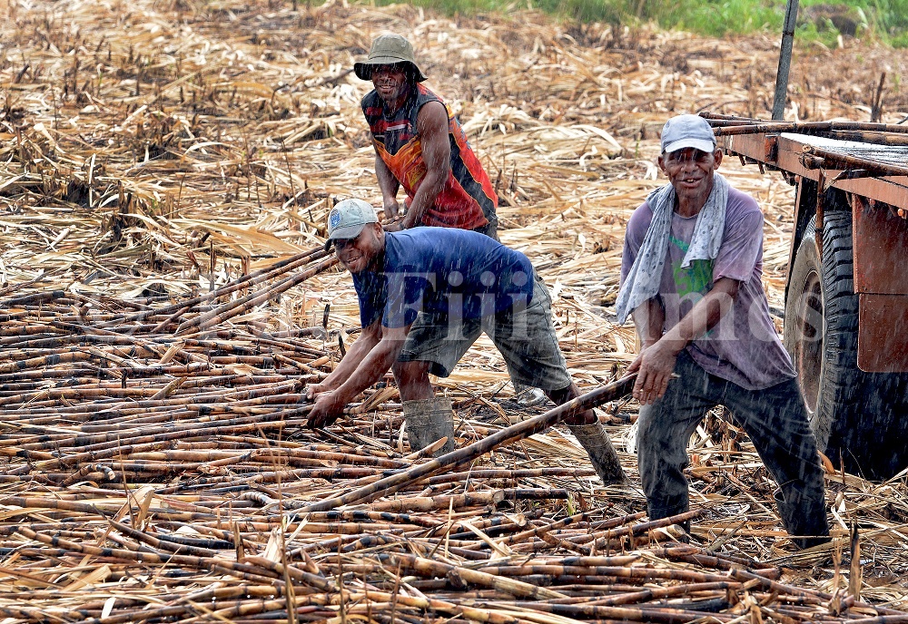 Usfijitimes | Fairtrade premium to benefit canefarmers