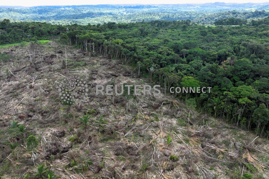 The Fiji Times » Brazil says plans green bond sale this year
